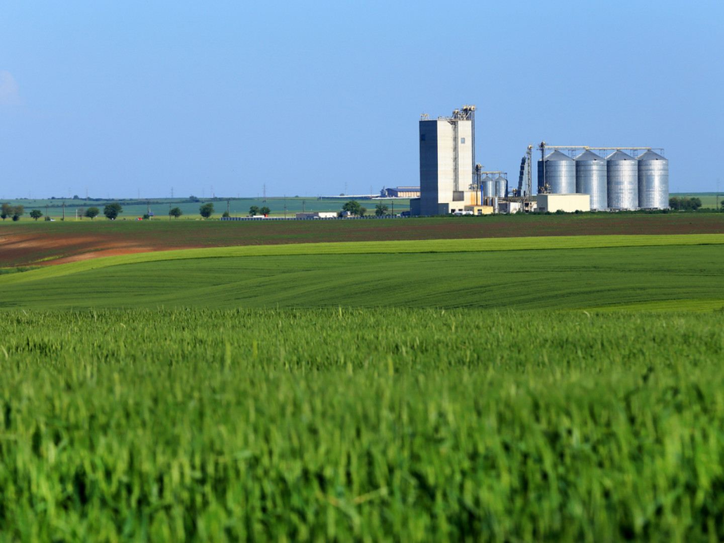 OVERHEAD BIN LOADOUT STRUCTURE | Innovative Ag Products